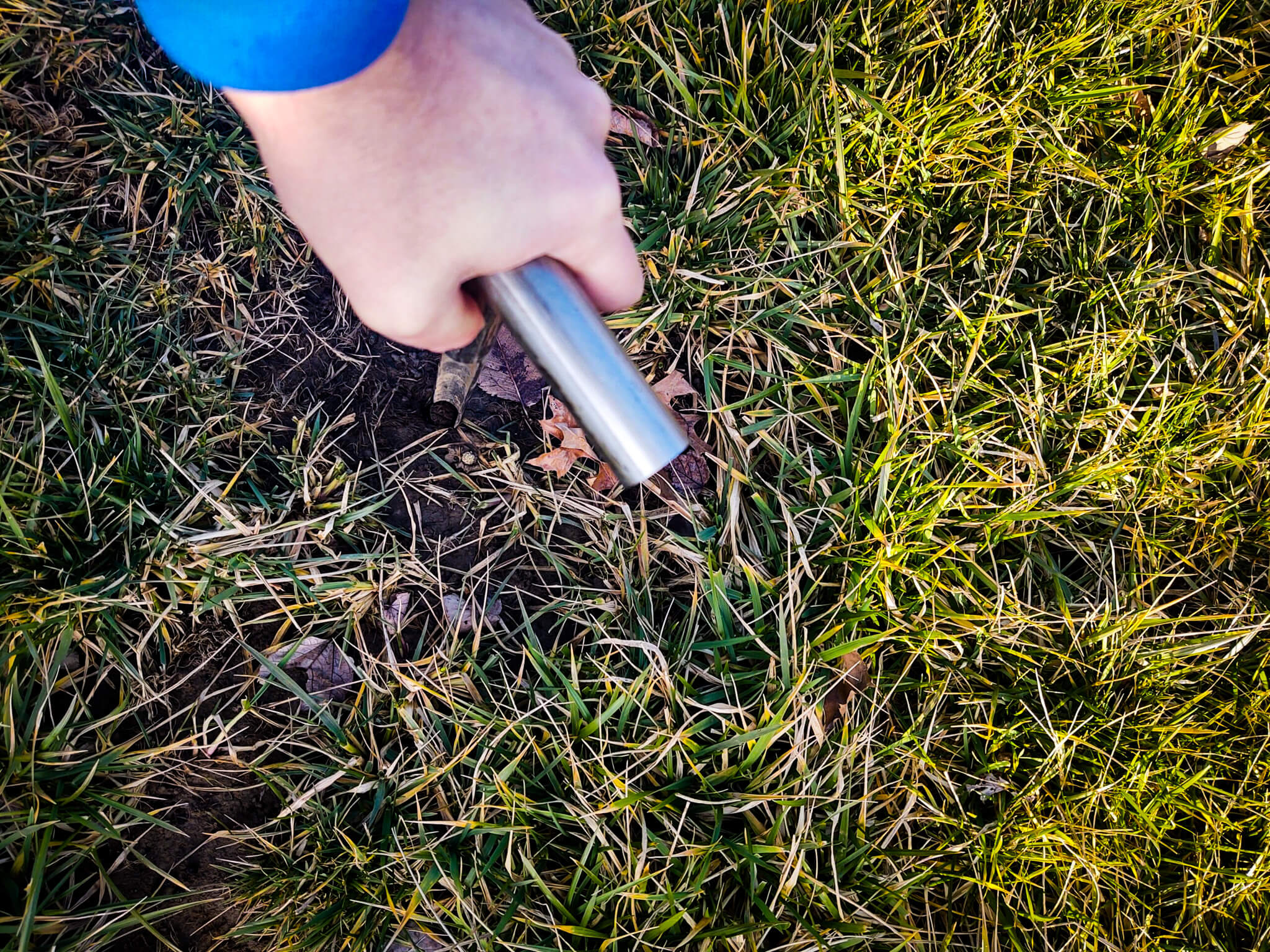 Home - Bull Run Turf Care & Pest Control